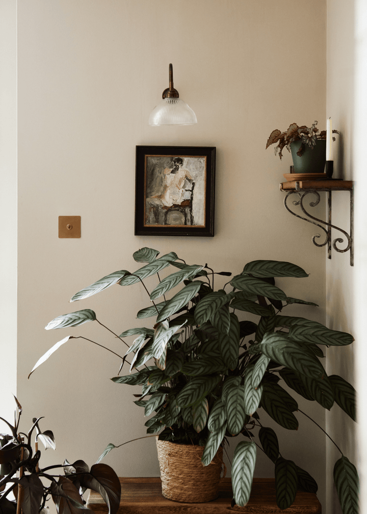 York House Gallery – Bert & May